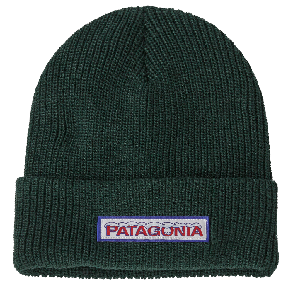 Patagonia Kids Logo Beanie Chill: Conifer Green – Stoked Boardshop
