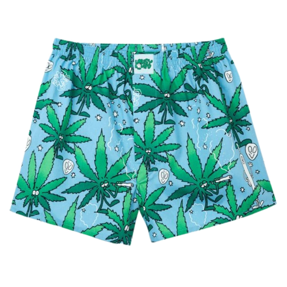 Lousy Livin Weedy Boxershorts Sky Blue – Stoked Boardshop